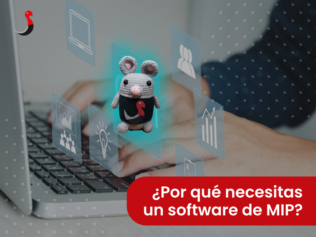 Software MIP ¿Para qué? | Rupipest